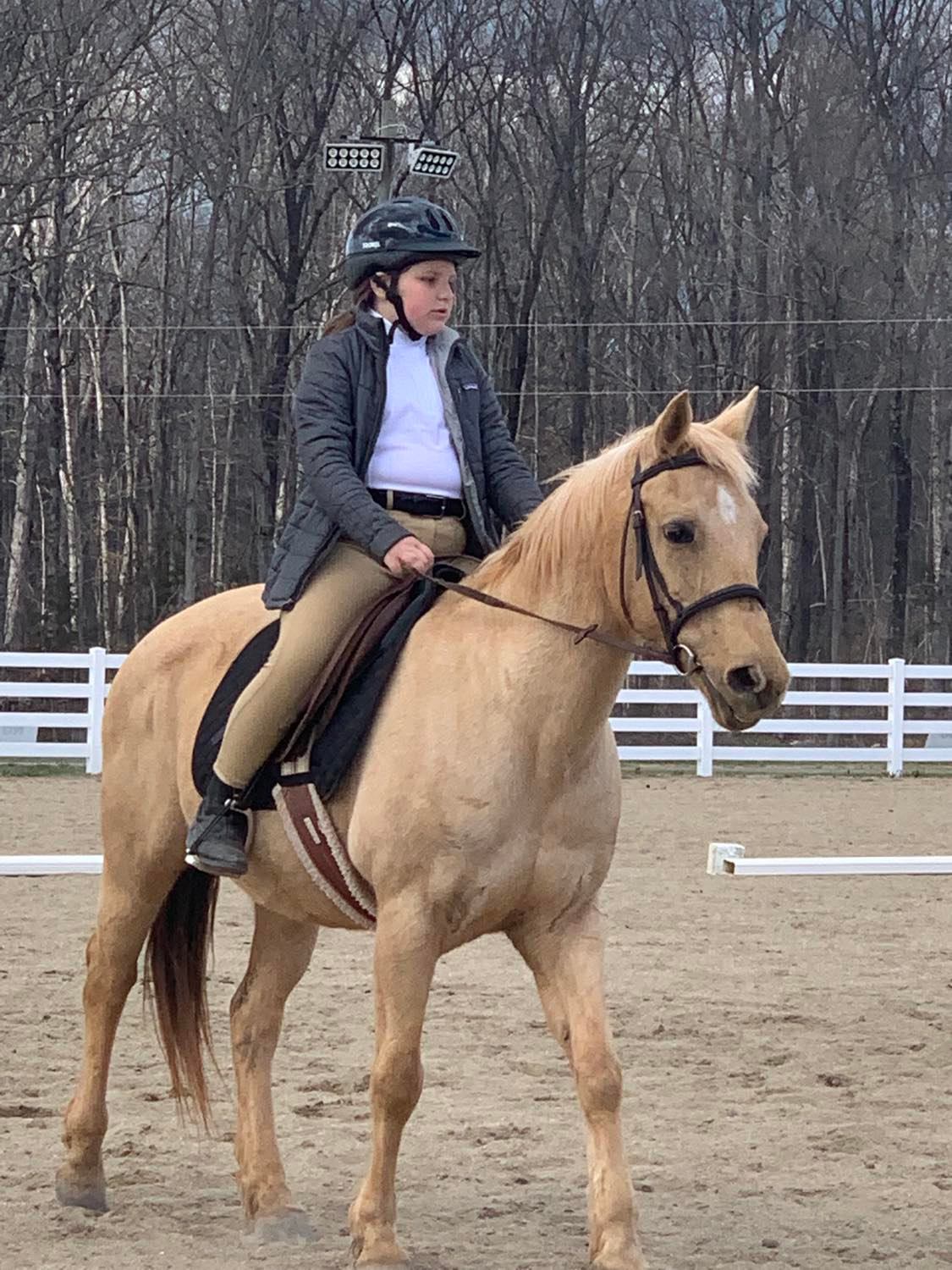 Horseback Riding Lessons - Silver Eagle Stable