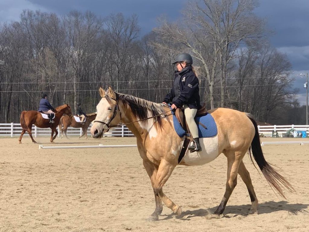 Horseback Riding Lessons - Silver Eagle Stable