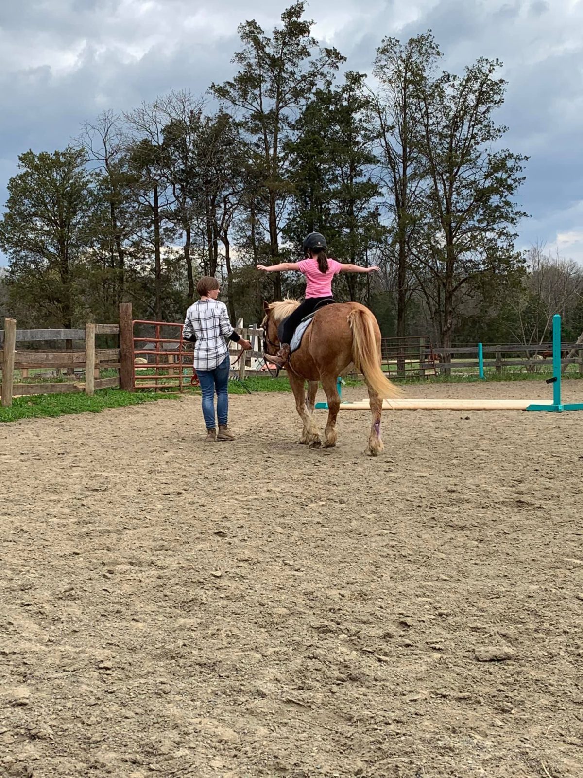 Horseback Riding Lessons - Silver Eagle Stable