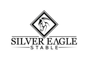 Horseback Riding Lessons - Silver Eagle Stable