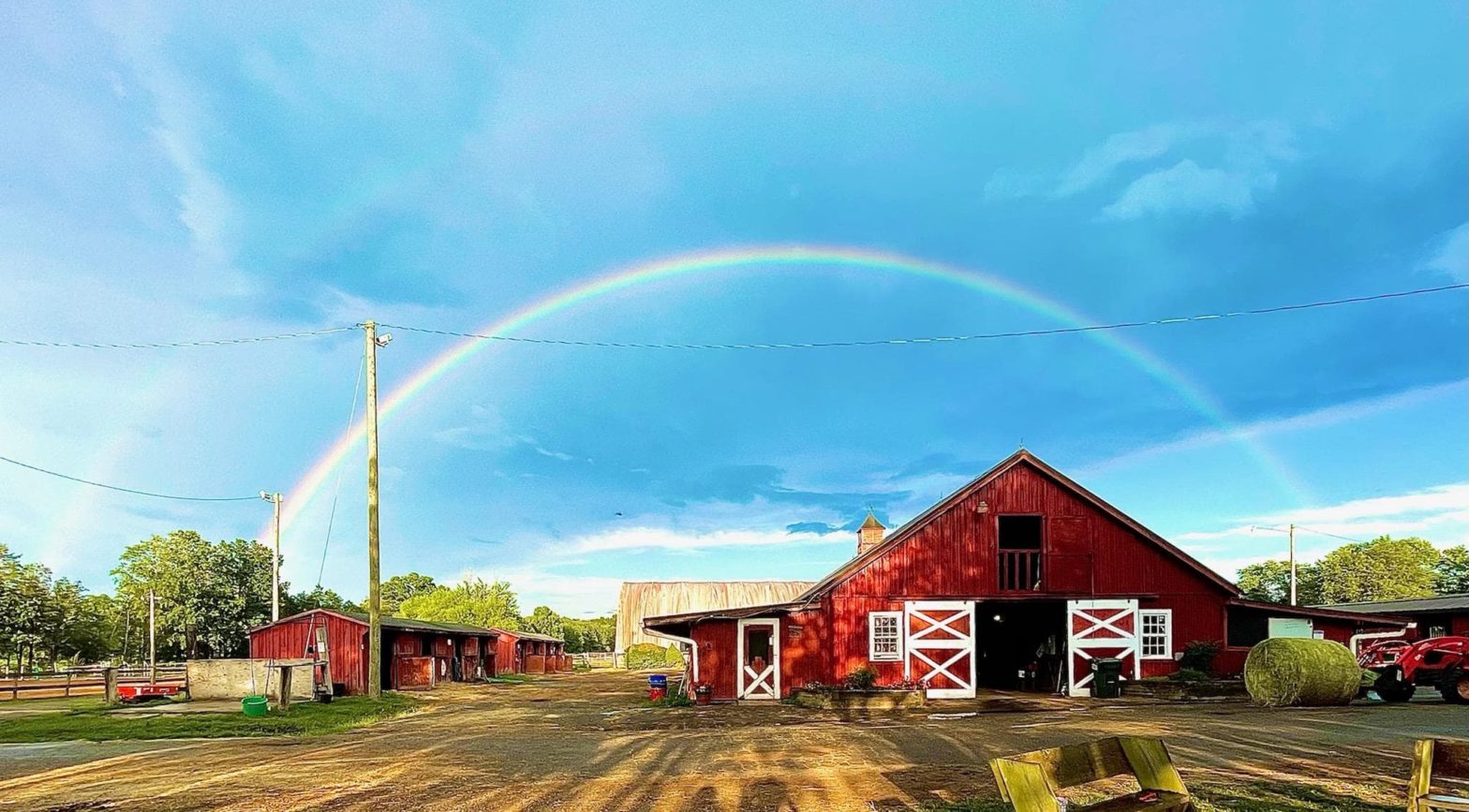 Silver Eagle Stable – Horse Boarding & Lesson Barn