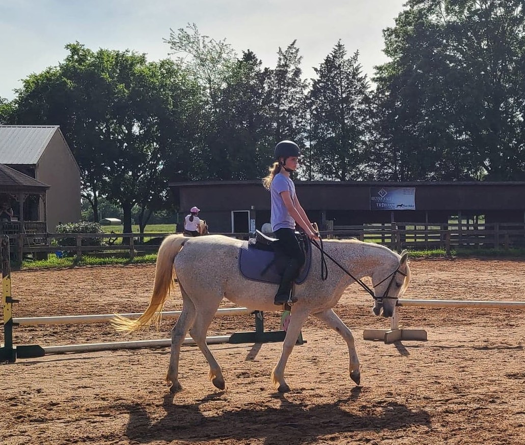 Horseback Riding Lessons - Silver Eagle Stable
