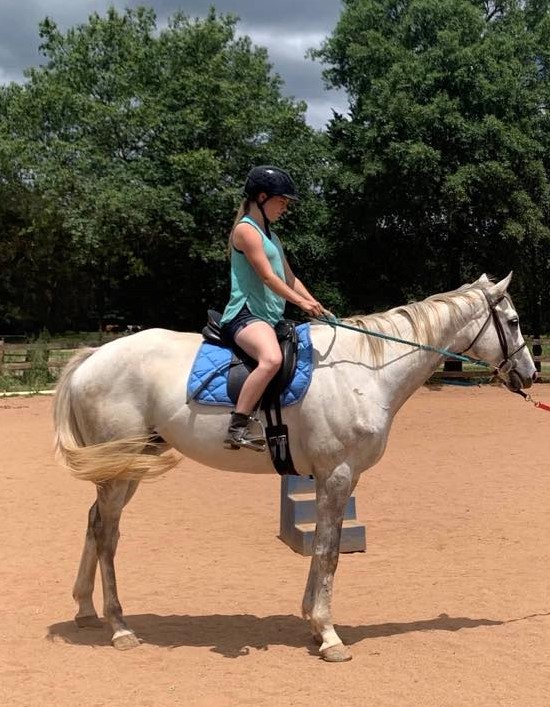 Horseback Riding Lessons - Silver Eagle Stable