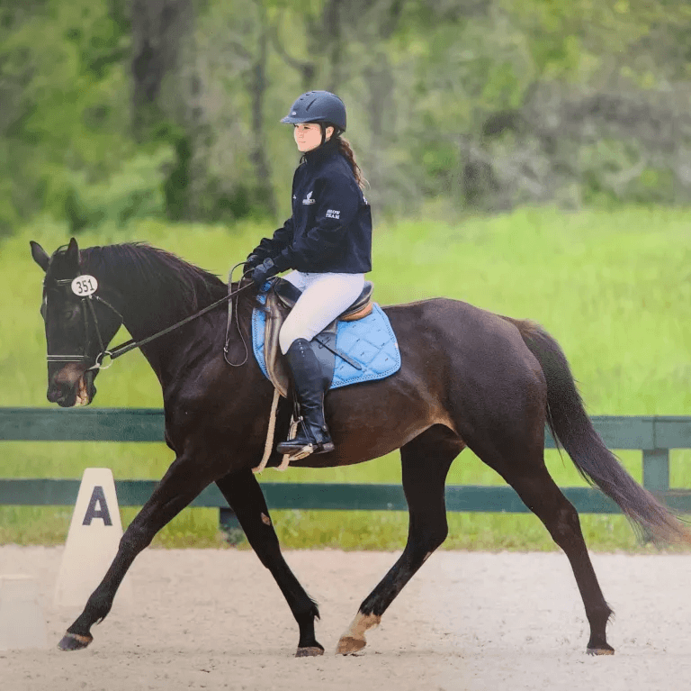 Horseback Riding Lessons - Silver Eagle Stable