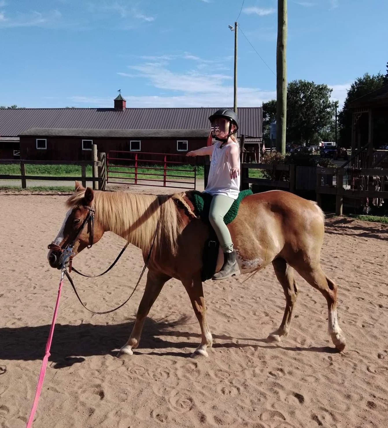 Horseback Riding Lessons - Silver Eagle Stable