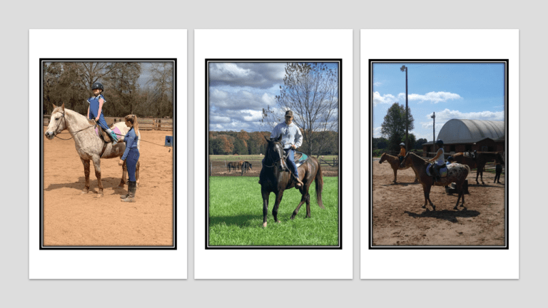 Silver Eagle Stable – Horse Boarding & Lesson Barn