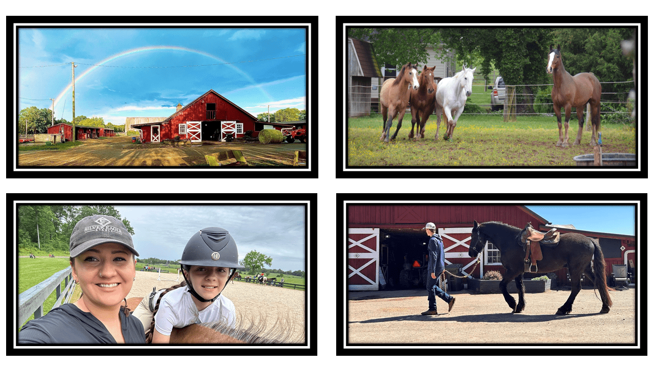 Silver Eagle Stable – Horse Boarding & Lesson Barn