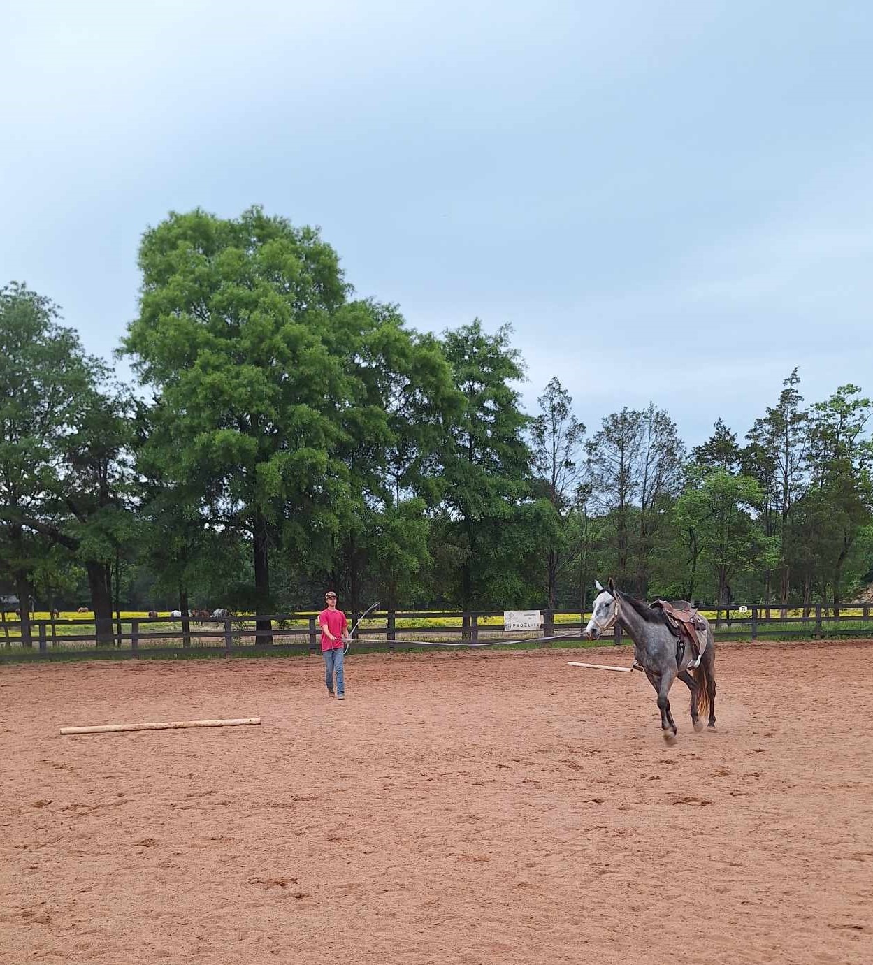 Silver Eagle Stable – Horse Boarding & Lesson Barn