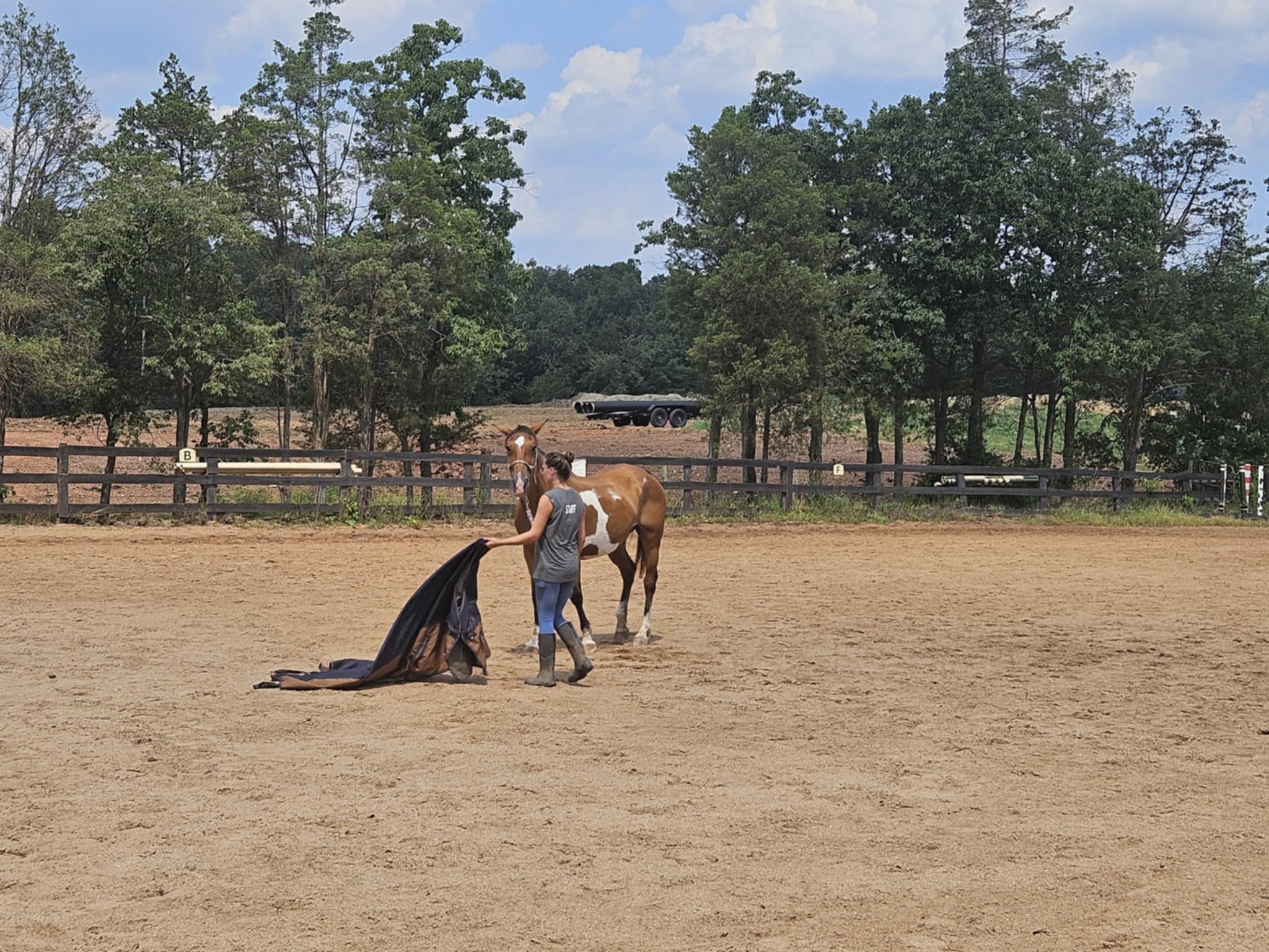 Horse Training - Silver Eagle Stable